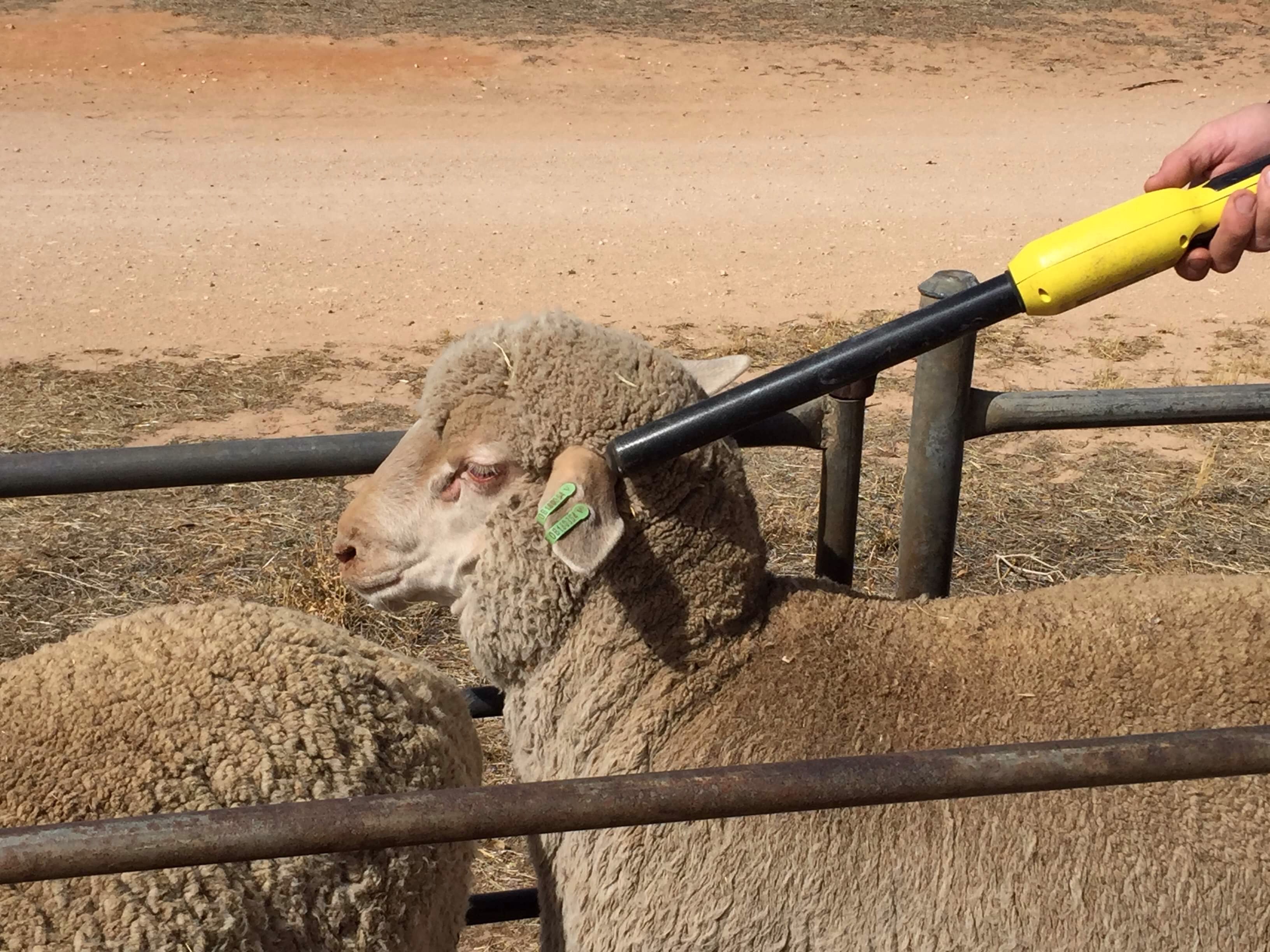 Electronic Identification (eID) Equipment